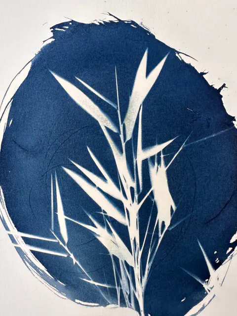 Family Cyanotype